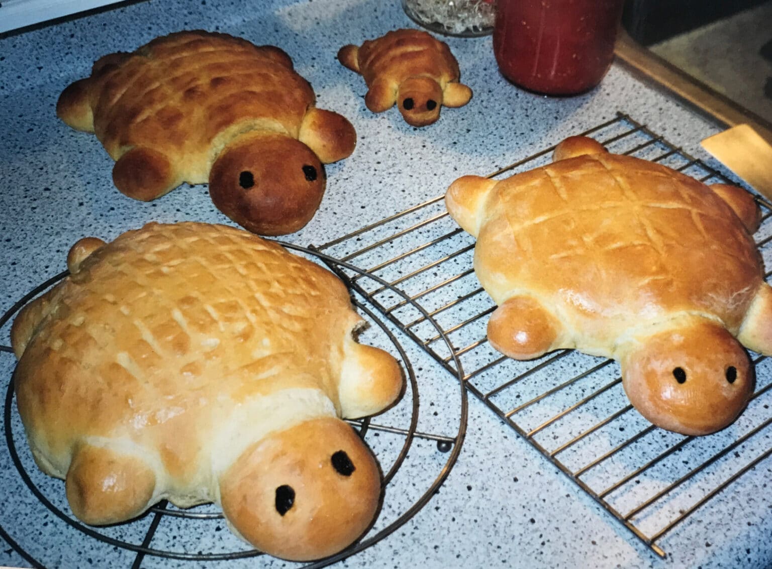Animal Shaped Bread (Not Sourdough) - Run to the Table
