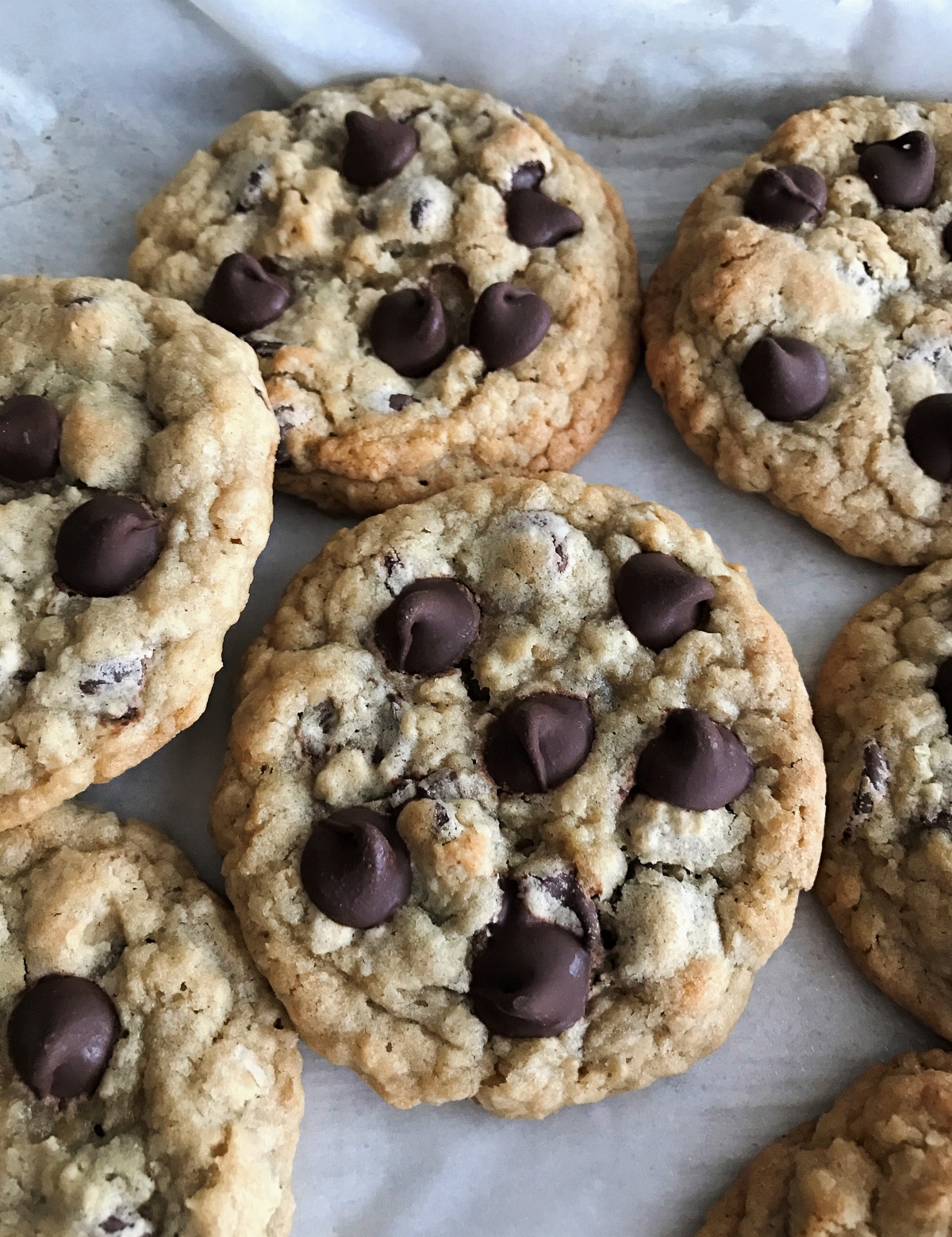 Potbelly's Copycat Oatmeal Chocolate Chip Cookies - Run to the Table
